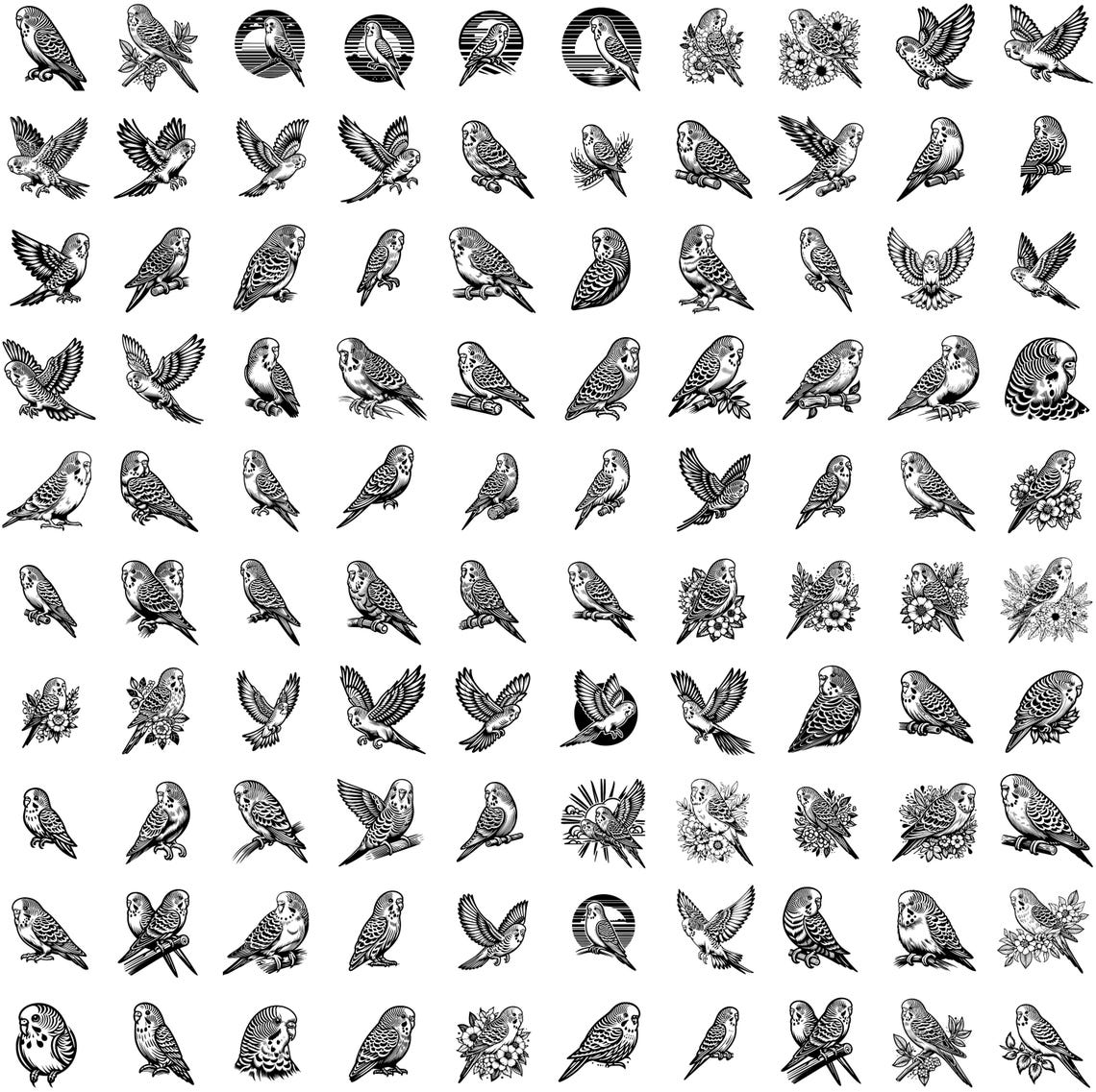 Budgie SVG PNG Designs, Parakeet Digital Clipart, Budgerigar Silhouette ...