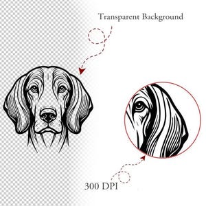 Dog SVG Bundle: 11000+ Designs, All Breeds (commercial Use SVG & PNG ...