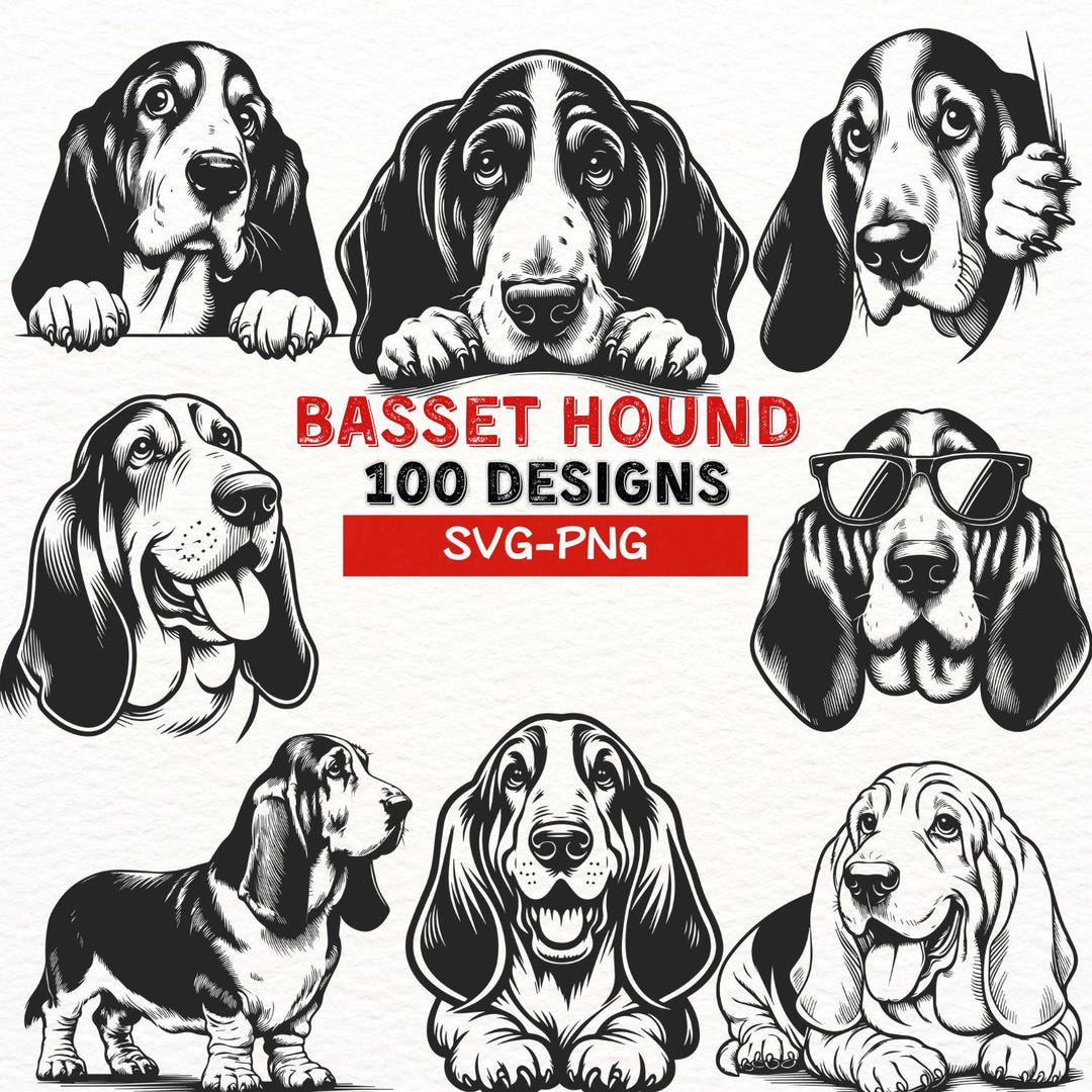 Basset Hound SVG Bundle | Adorable Dog Clipart for Cricut | Basset ...