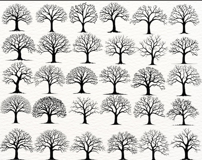 Bare Tree Svg Bundle, Leafless Tree Svg, Rustic Tree Svg, Tree Vector ...