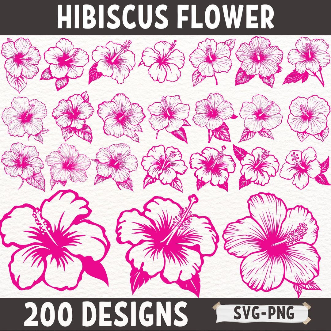 Hibiscus Flower SVG Bundle, 200 Tropical Floral Designs, Hibiscus PNG ...