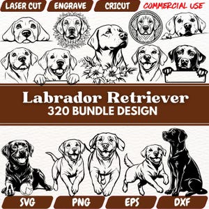 Labrador Retriever SVG Bundle, 320 Dog Clipart Designs, Engraving Cut ...