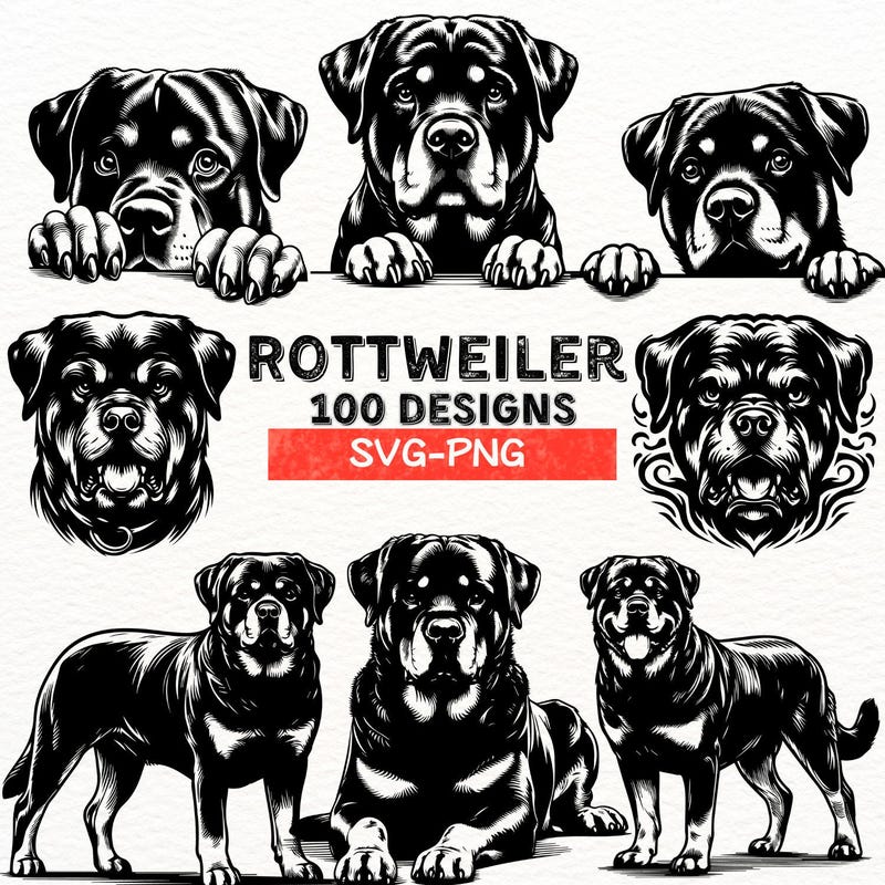 Rottweiler Clipart - Etsy
