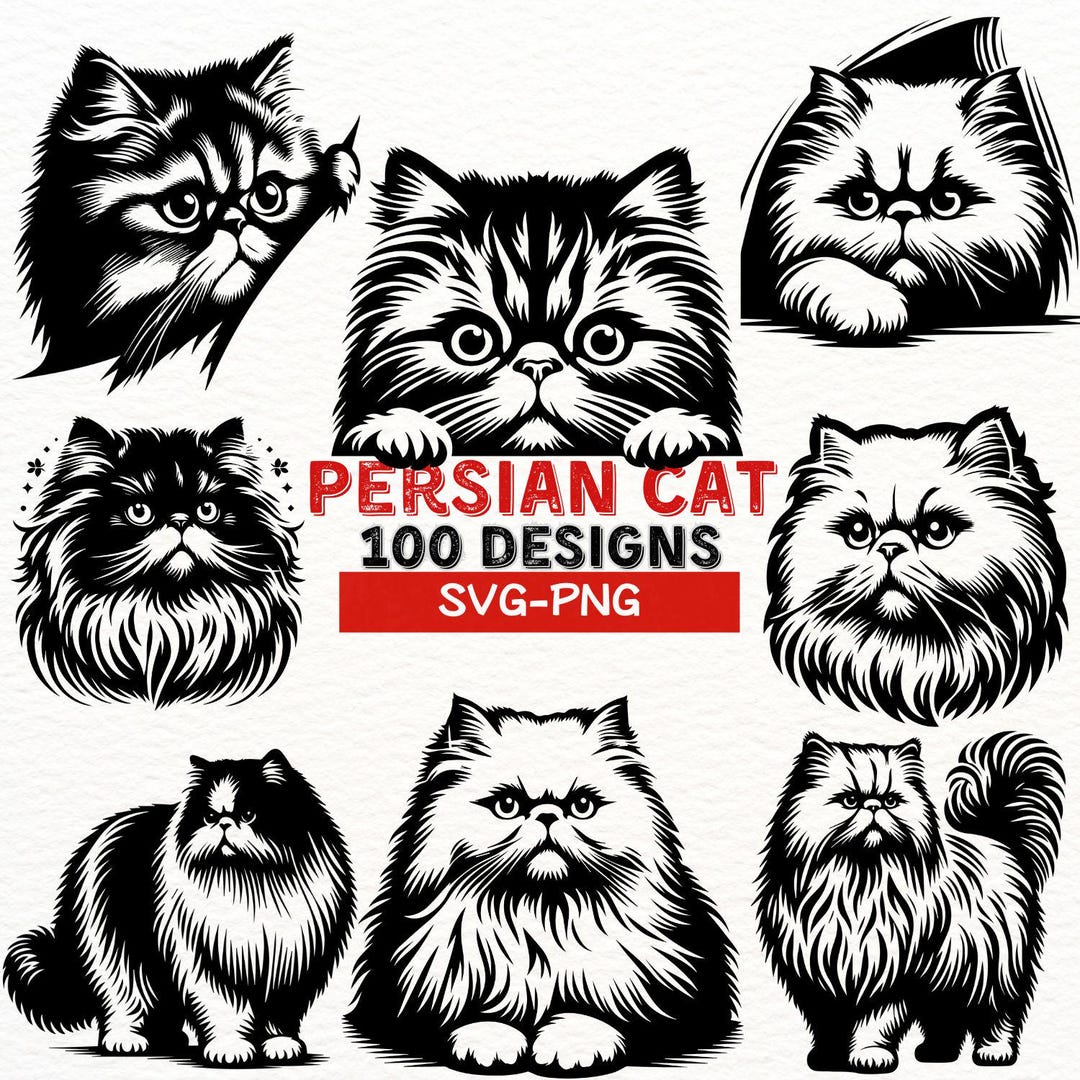 Persian Cat SVG Designs Bundle | Cute Persian Cat Vector Art | PNG ...