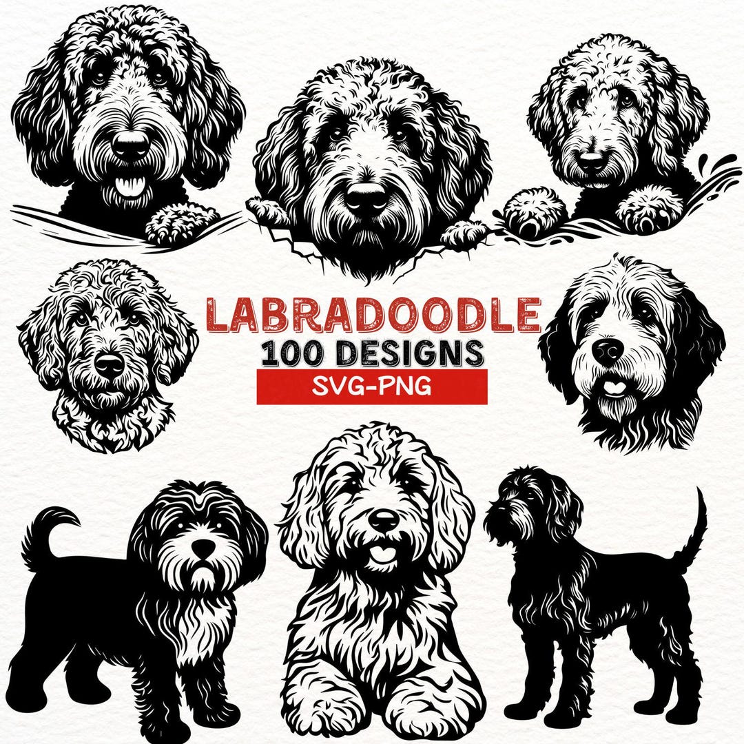Labradoodle SVG PNG Bundle - 100 Adorable Labradoodle Digital Designs ...