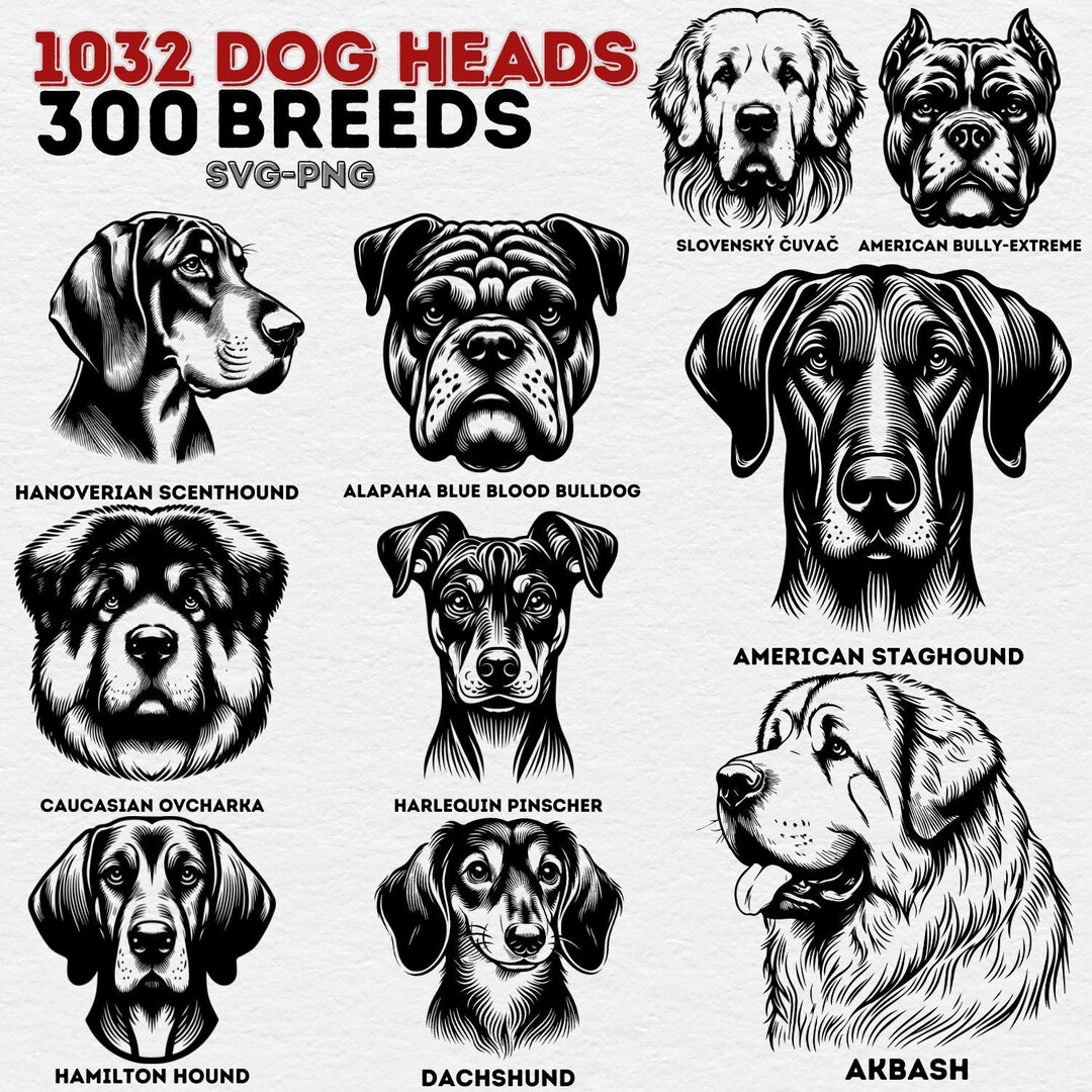 1032 Dog Heads SVG Bundle, Complete Dog Breeds Clipart, SVG and PNG ...