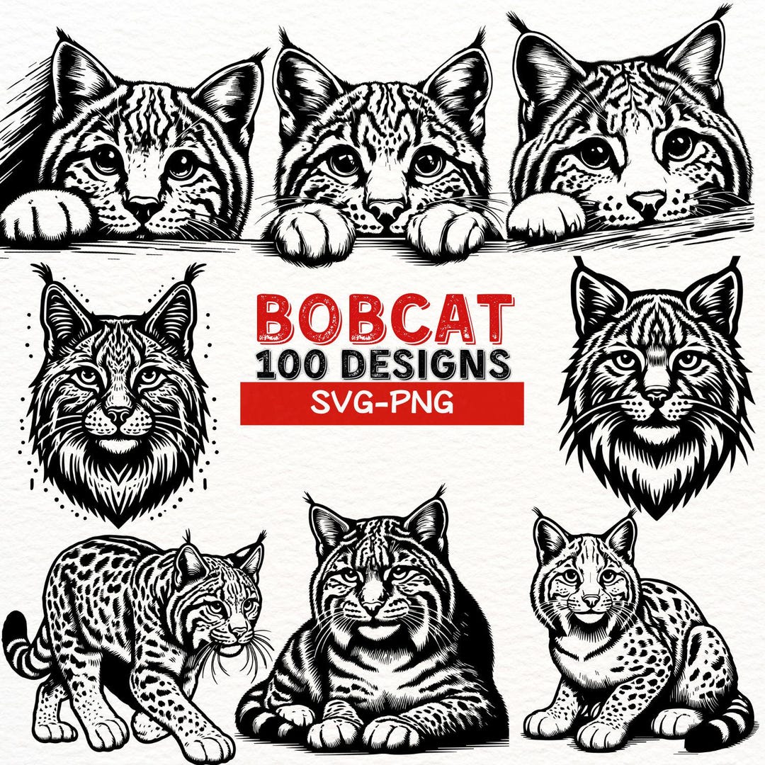 Bobcat SVG PNG Designs, Wild Cat Vector Clipart, Bobcat Face and Body ...