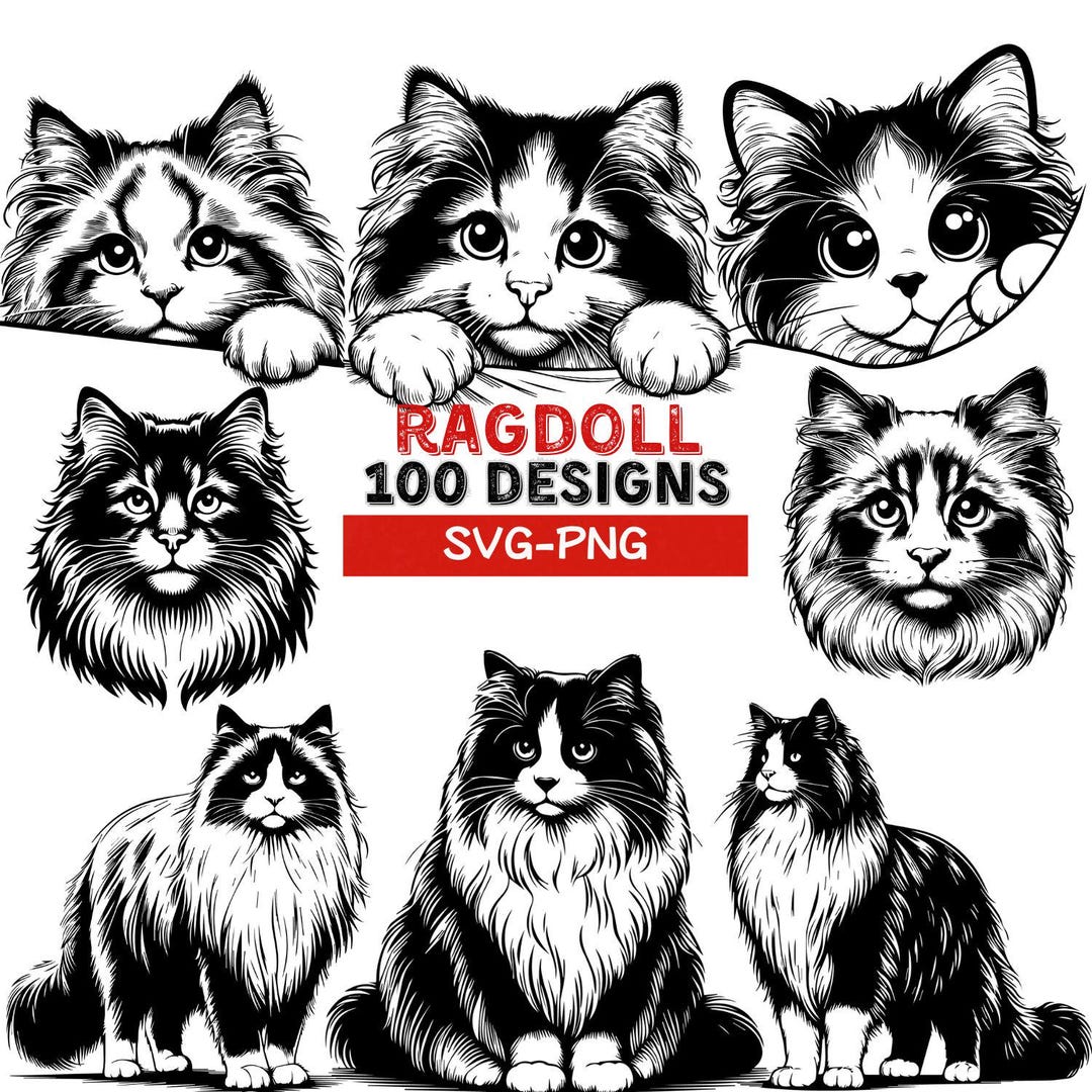 Ragdoll Cat SVG Bundle | Adorable Cat Clipart for Cricut | Ragdoll Cat ...