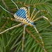 Christmas Spider Ornament, Gold & Teal, Spider Christmas Tree Ornament ...