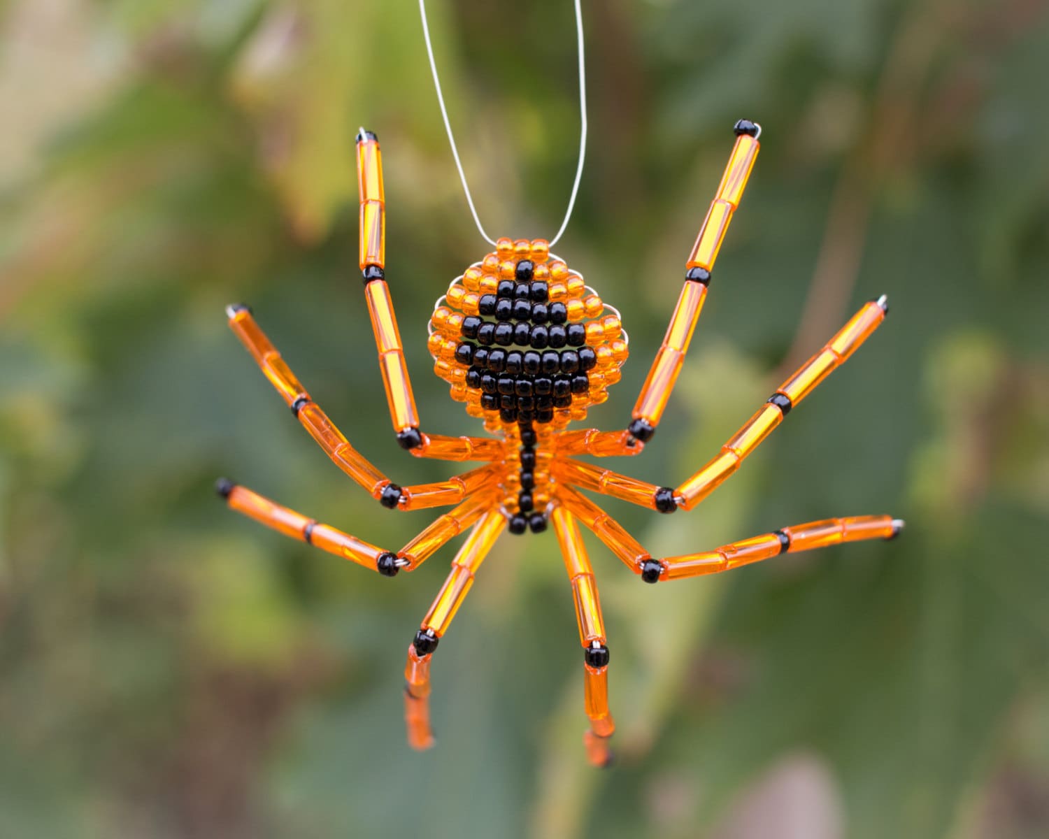 Orange And Black Spider