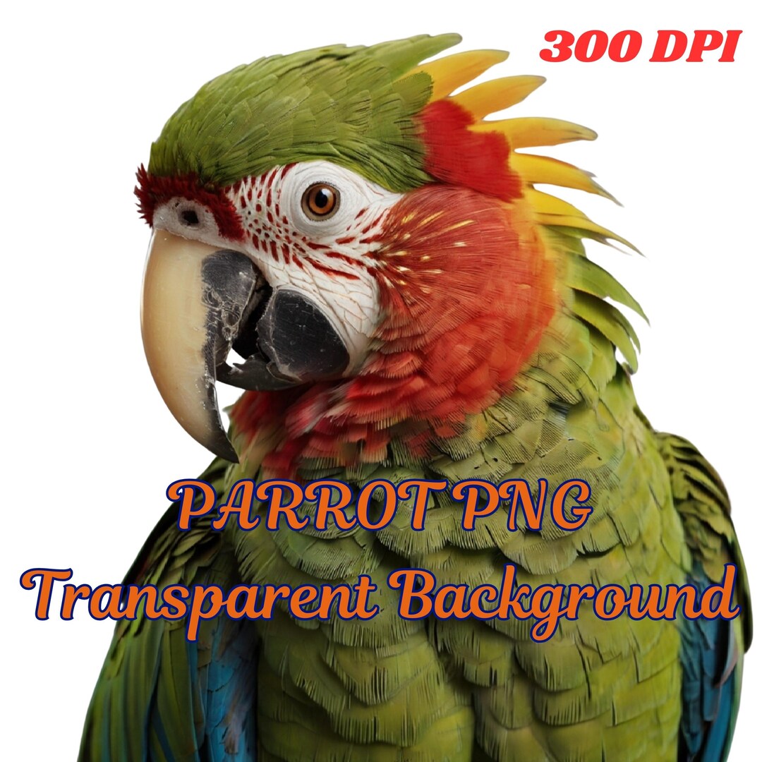 Parrot PNG Transparent Background 300 DPI, High-quality Digital ...
