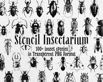 Vintage Insect PNG Pack – 100 Engraved Bug Illustrations for Collage ...