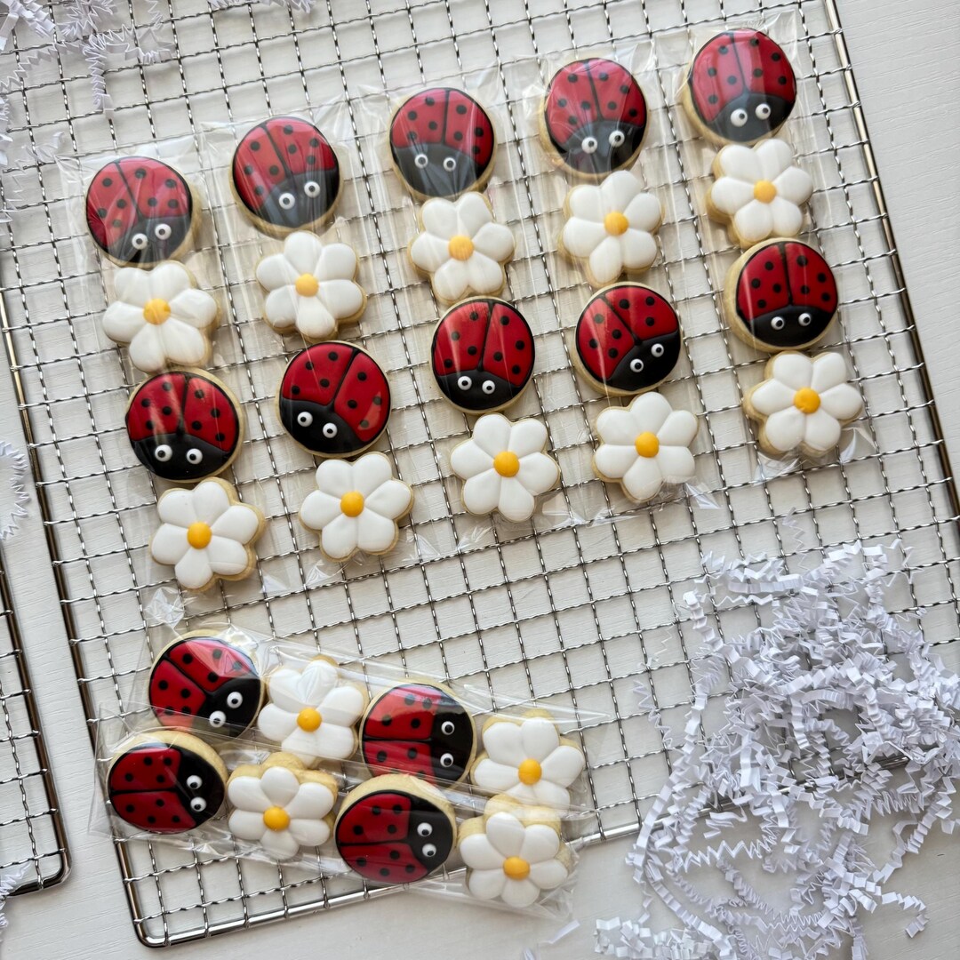 Mini Ladybug and Daisy Cookies Set, Mini Ladybug Birthday Cookies Set ...