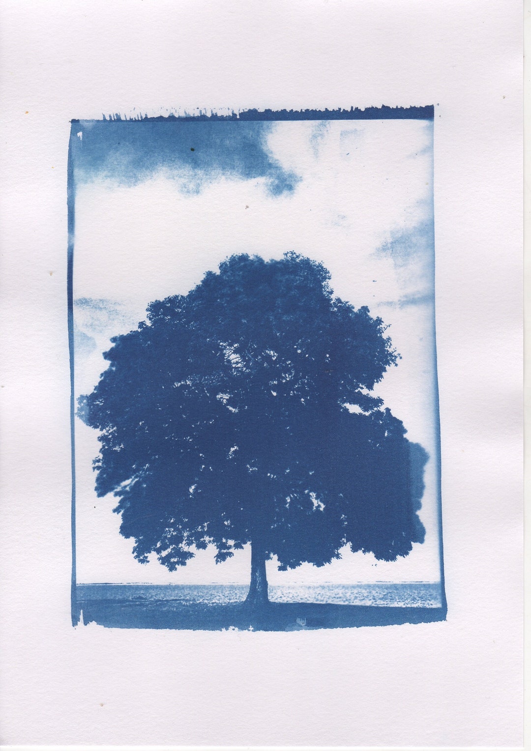 Cyanotype Tree Without Frame - Etsy
