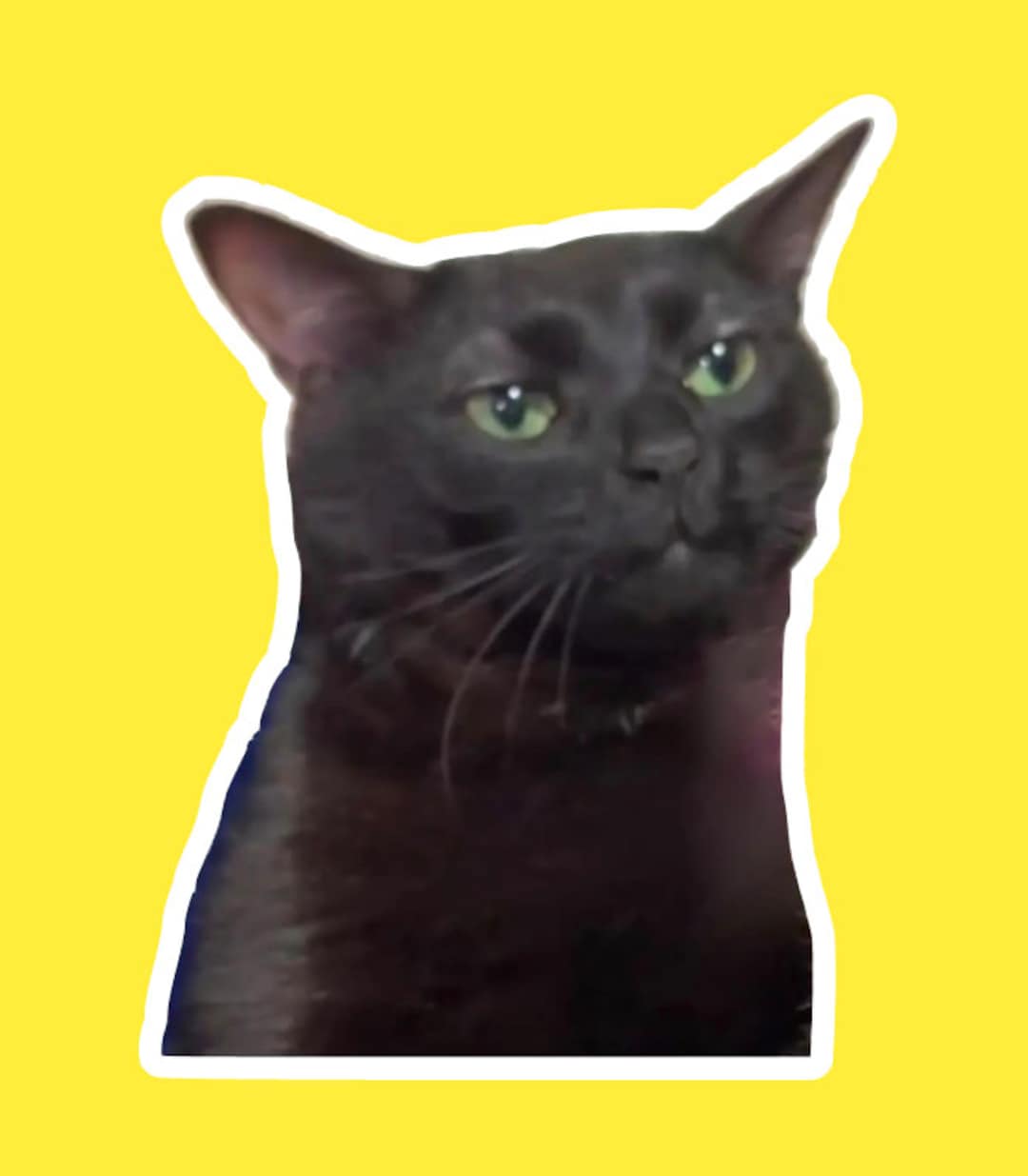 Staring Black Cat Meme Sticker, Meme Sticker, Funny Sticker, High Gloss ...