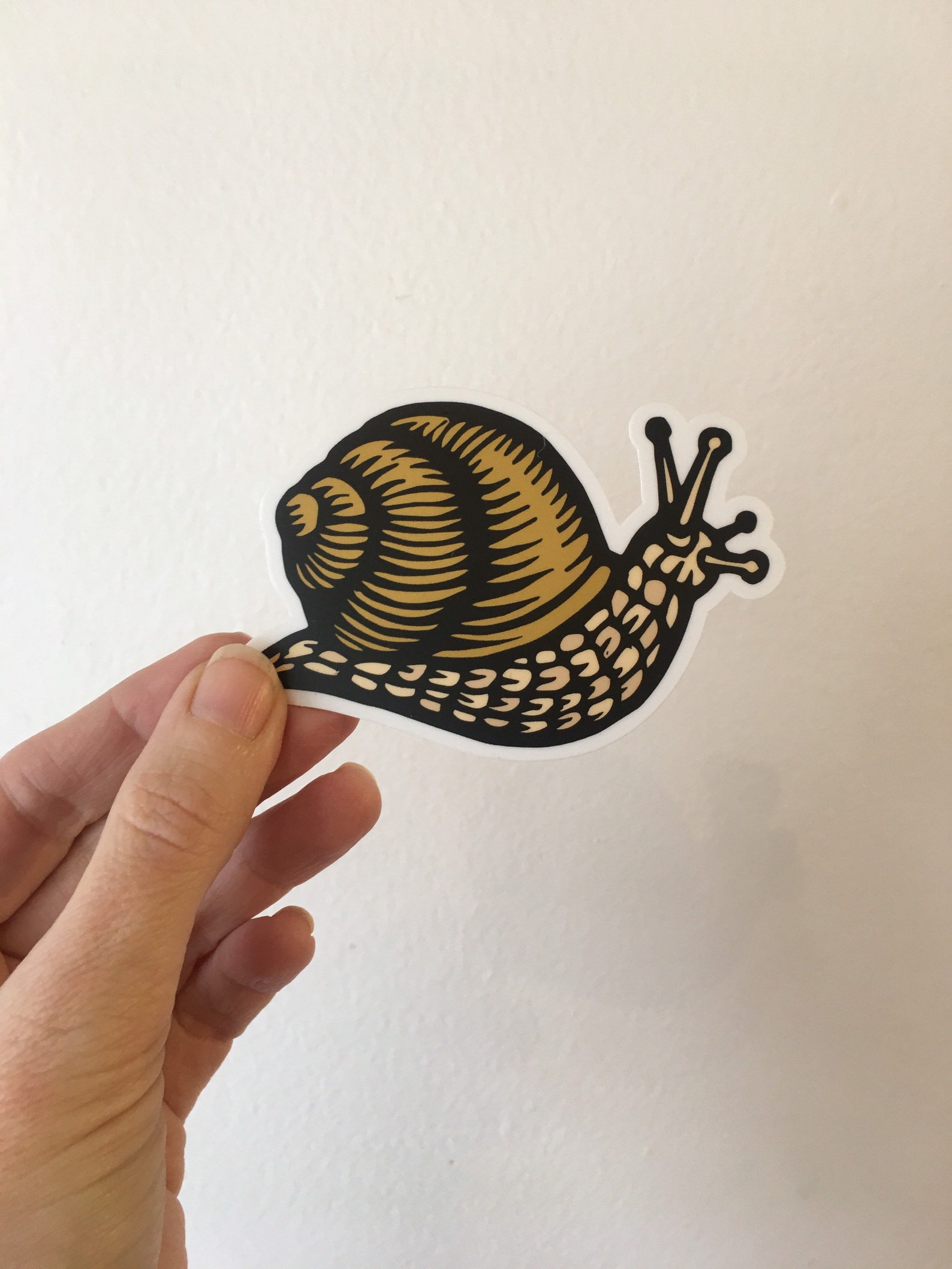 Waterproof, Vinyl Snail Sticker for Car, Laptop, or Water Bottle ...