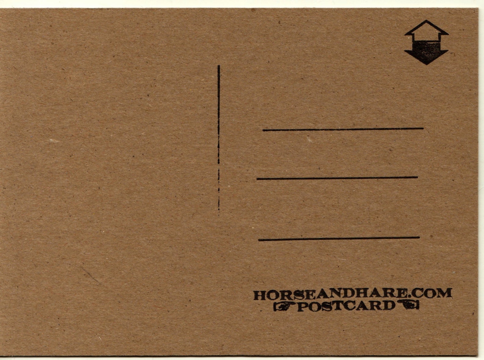 Postcards - Author Postcards - Postcard Packs - Edgar Allan Poe ...