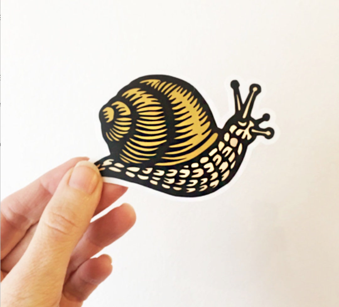 Snail Sticker for Water Bottle Sticker for Car Sticker for Laptop ...