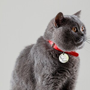Personalized Dog and Cat Tags, Custom Engraved Pet ID Tags, Dog Collar ...