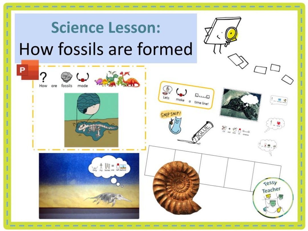 SEN Science Lesson: Process of Fossils - Etsy