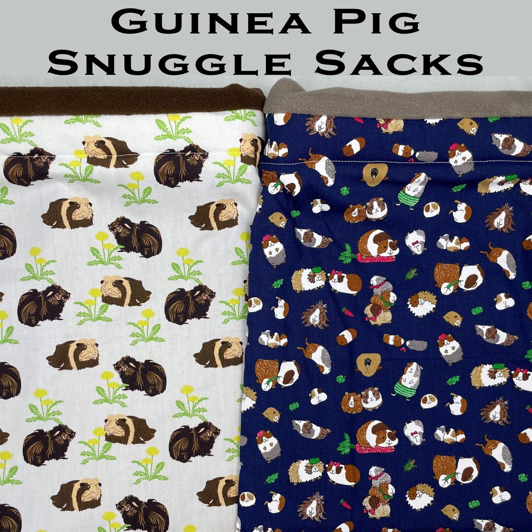 Guinea Pig - Skinny Pig Snuggle Sacks - Etsy