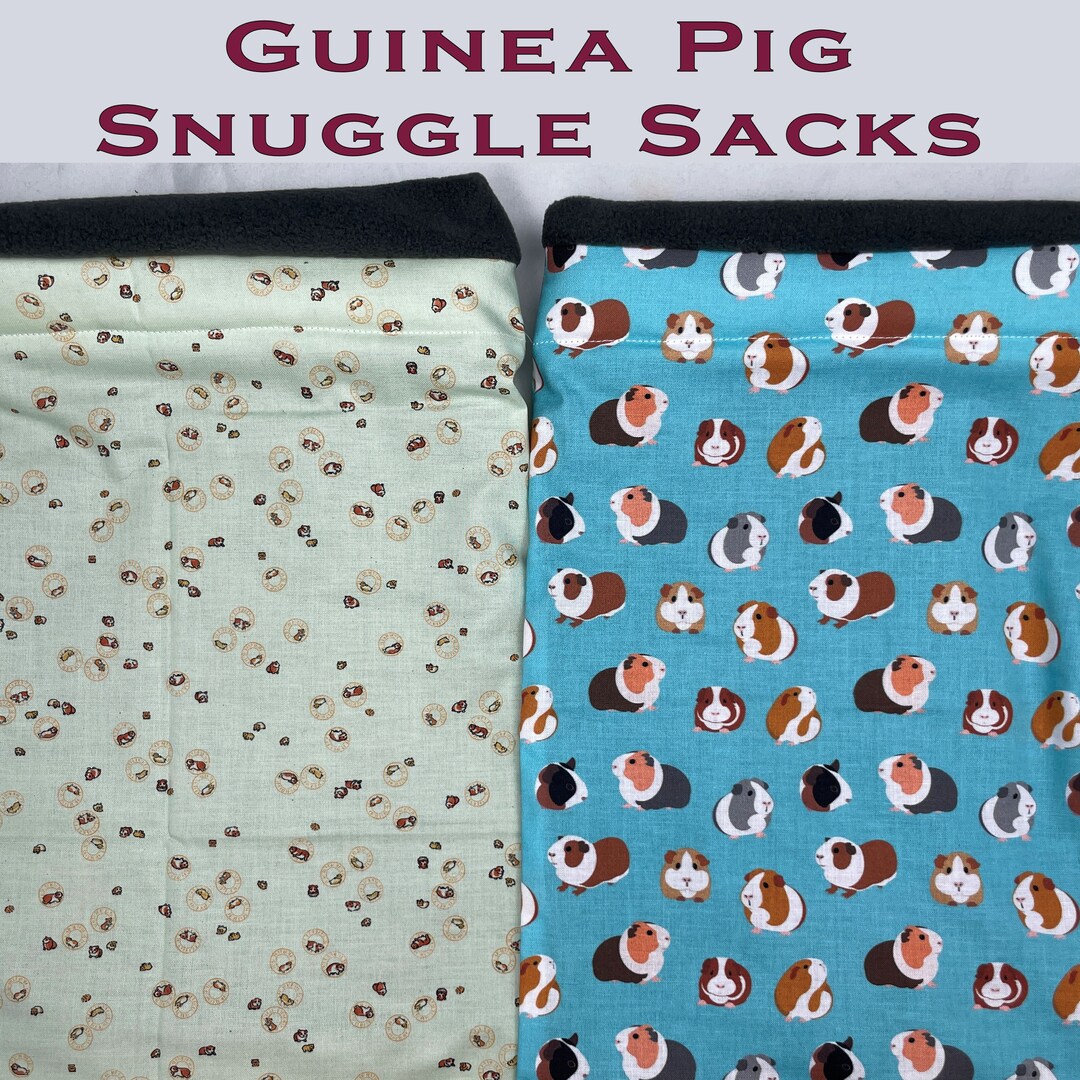 Guinea Pig - Skinny Pig Snuggle Sacks - Etsy