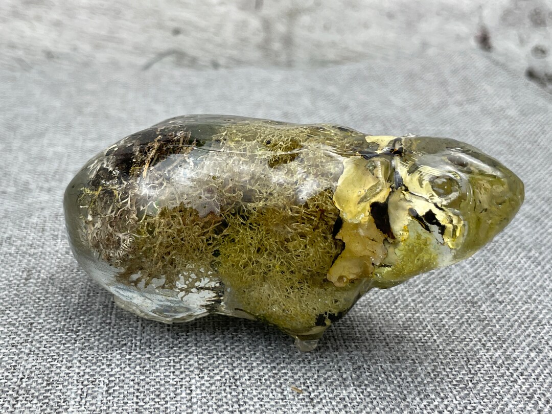 Large Resin Guinea Pig Figurine - Moss - Etsy