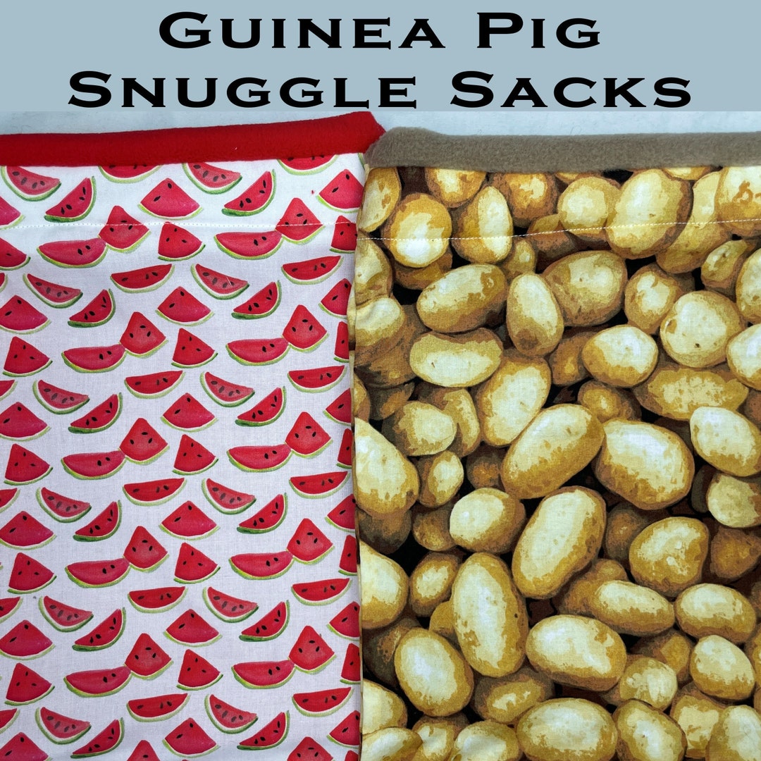 Snuggle Sacks Guinea Pig - Skinny Pig - Etsy