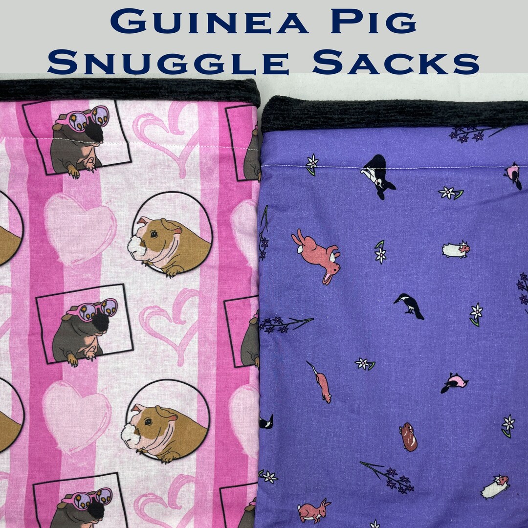 Guinea Pig - Skinny Pig Snuggle Sacks - Etsy