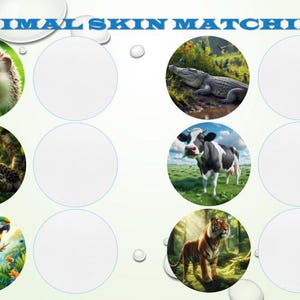 Animal Matching Puzzle Activity, Animal Skin Pattern Matching, Toddler ...