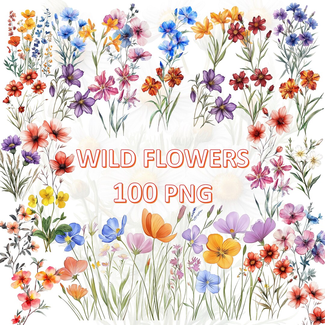 100 Unique Wildflower Cliparts High-resolution Digital Art for Instant ...