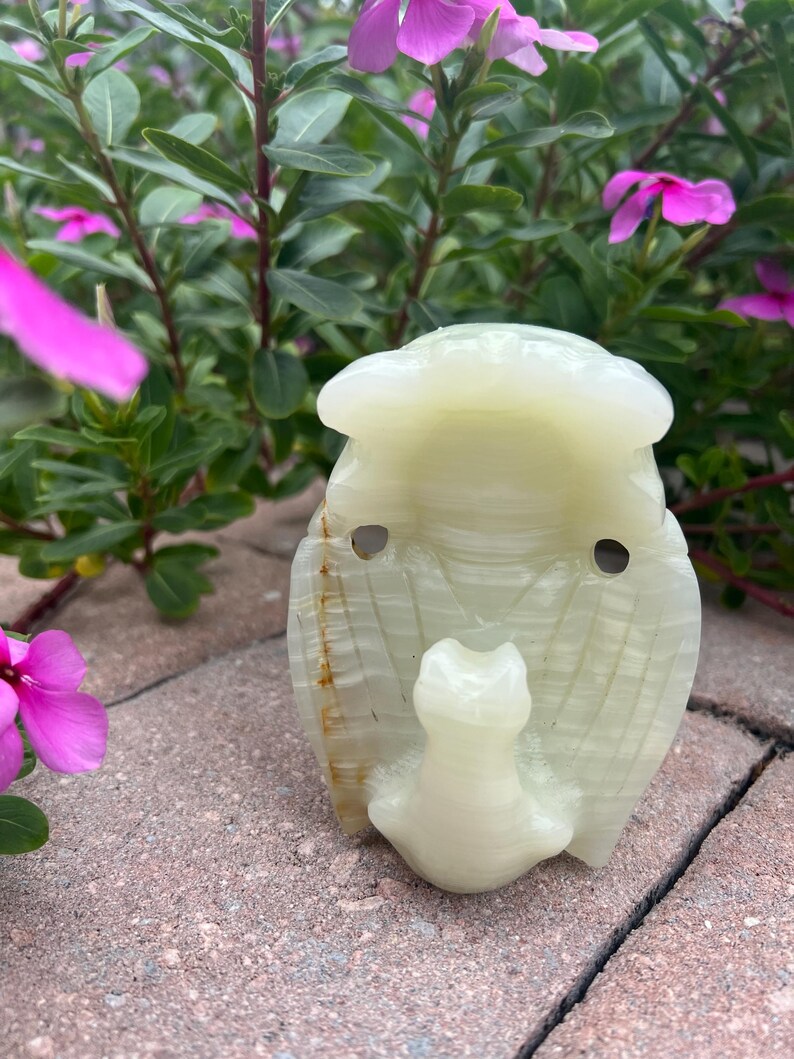 Afghan Jade HTTYD Toothless Crystal Carving - Etsy