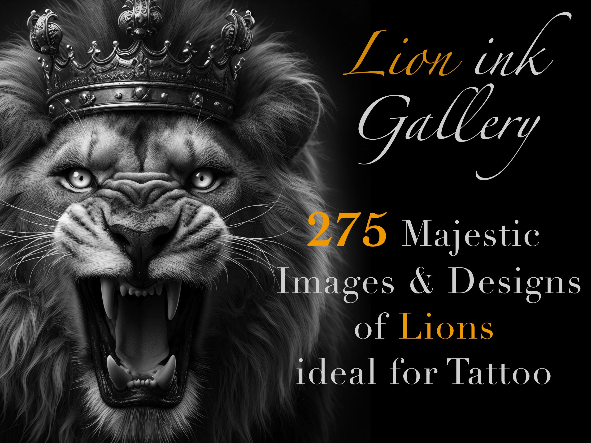 275 Realistic PNG Lions, Images and Designs of Lions, Lion Portrait ...