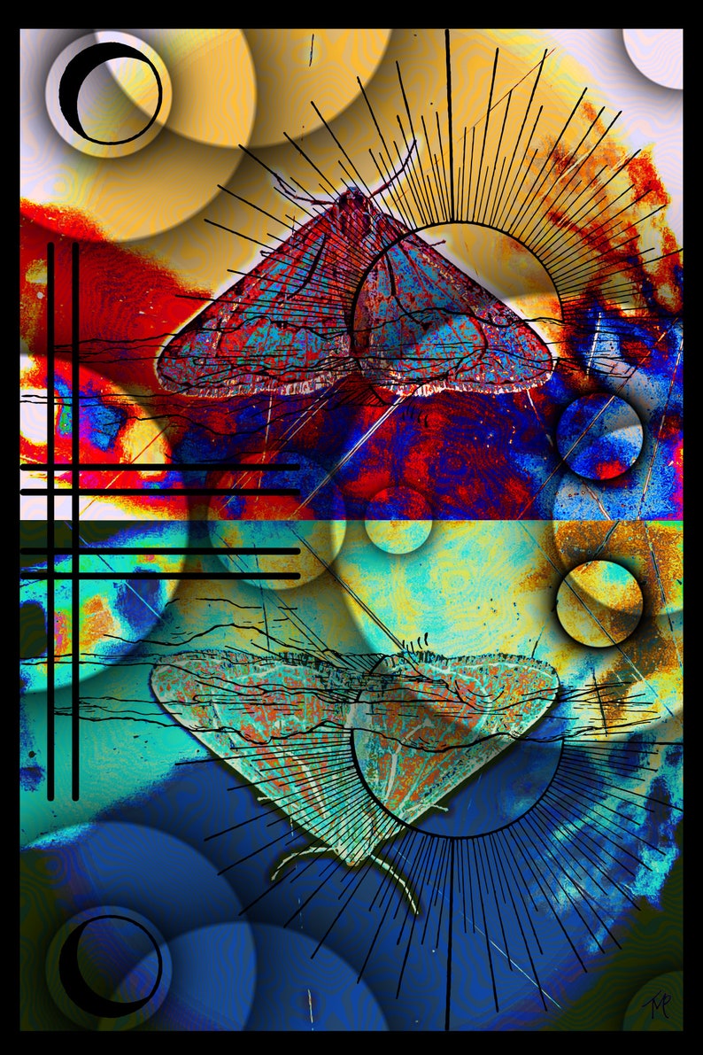 Moon Moth Digital Download - Etsy