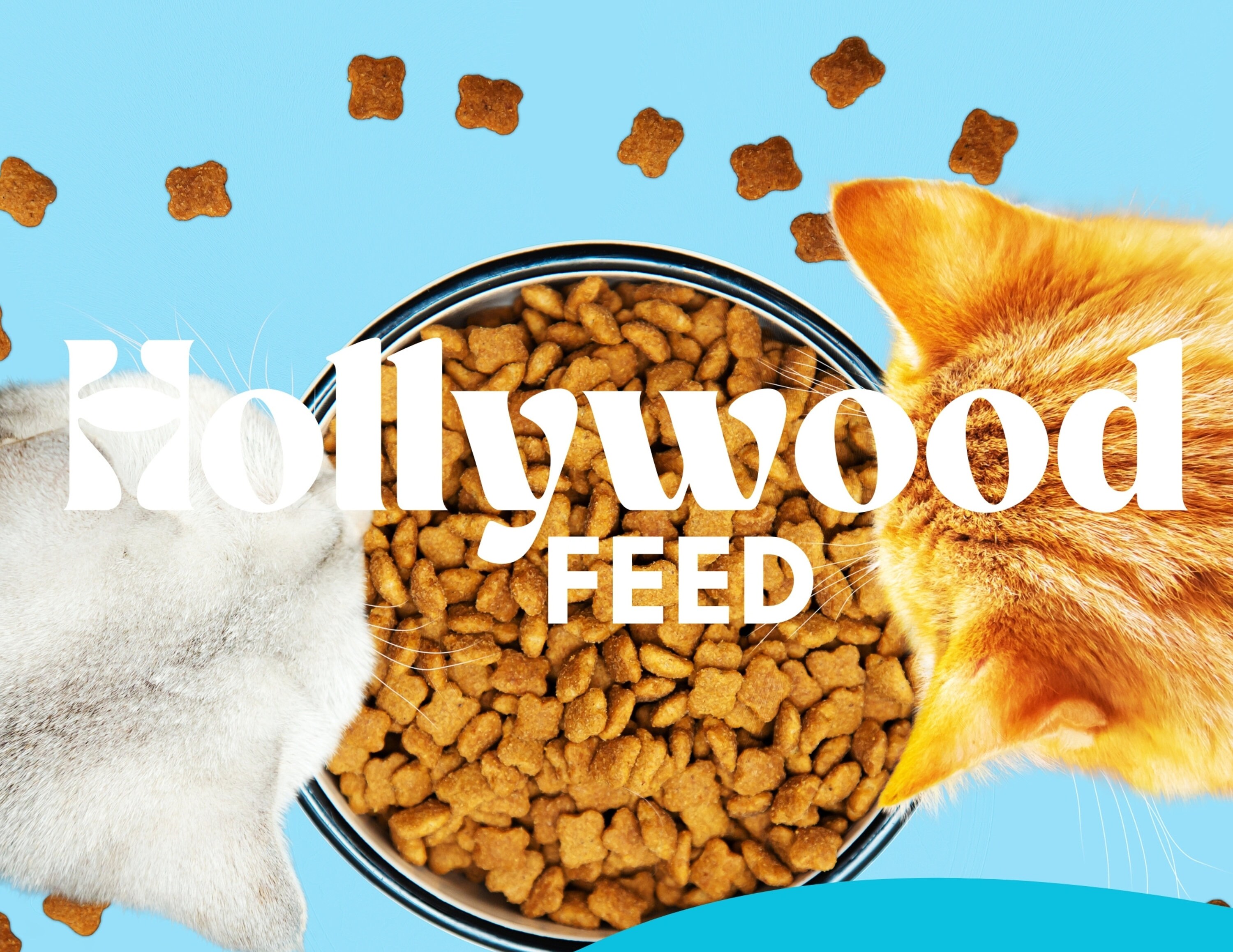 Custom Logo Design Bold Colorful Logo Custom Branding Modern Bright ...