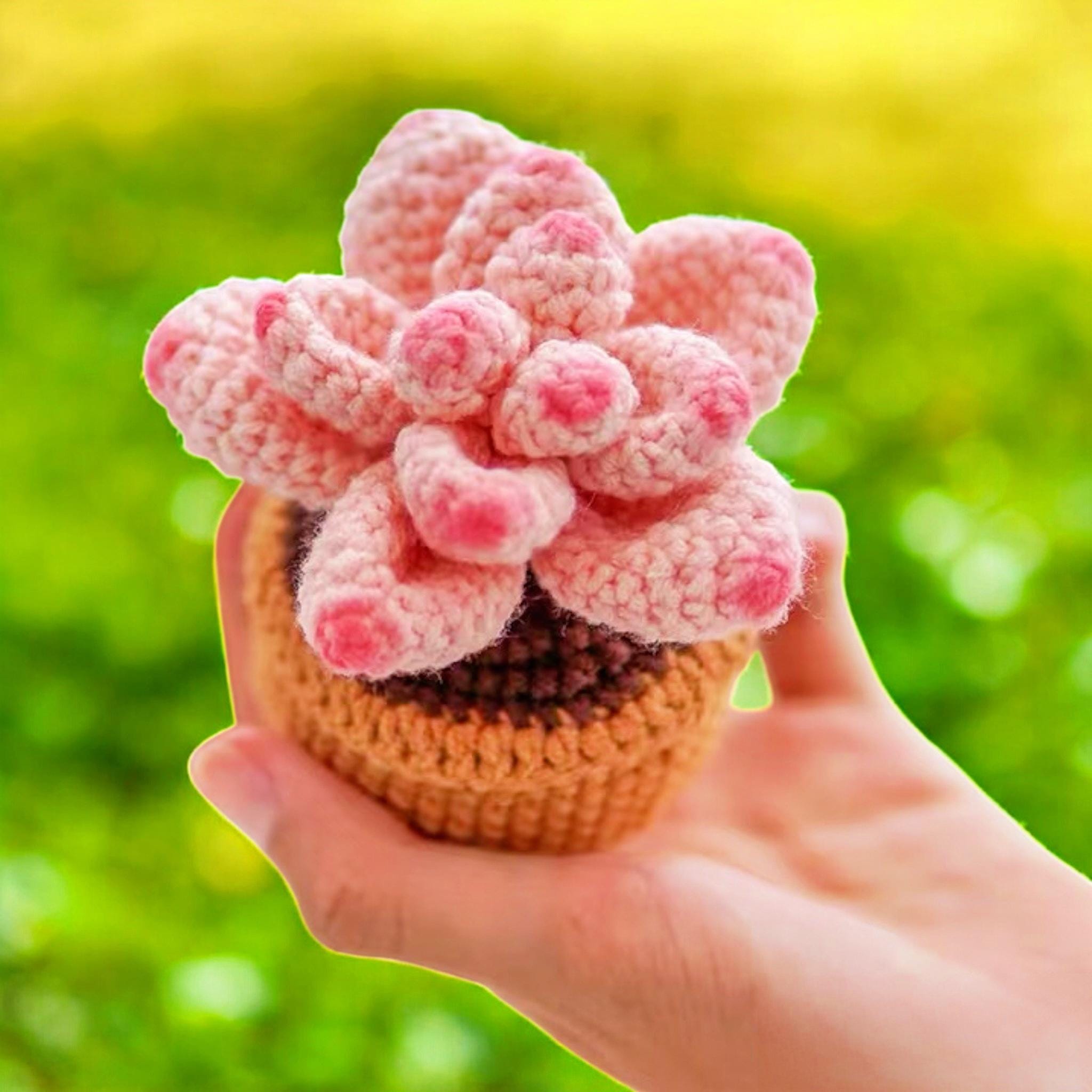 Cactus Crochet Pattern, Crochet Cacti Pattern, Amigurumi Cactus Instant ...