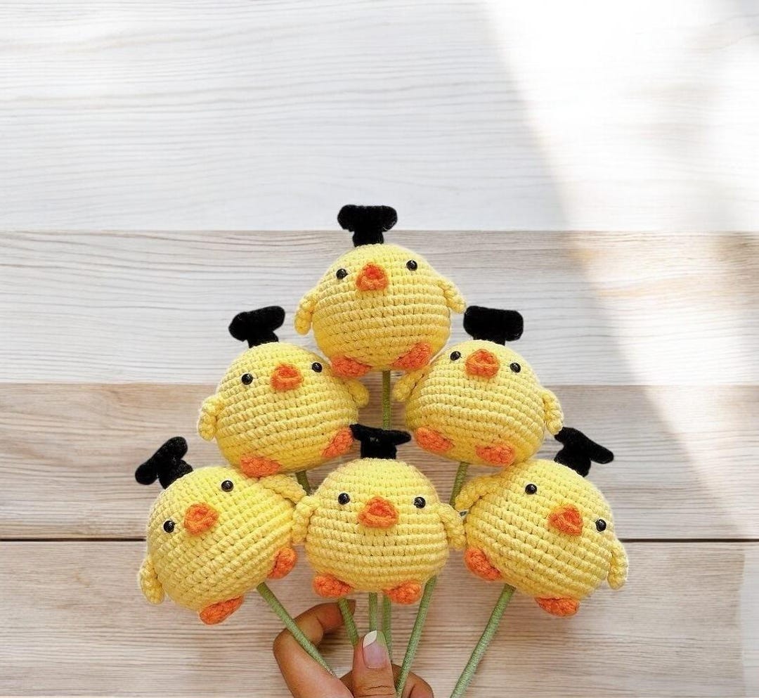 Baby Graduation Chicks Crochet Pattern, Adorable Chunky Cute DIY Kids ...