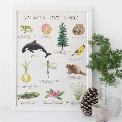 Washington State Symbols Art Print / Washington State Art / - Etsy