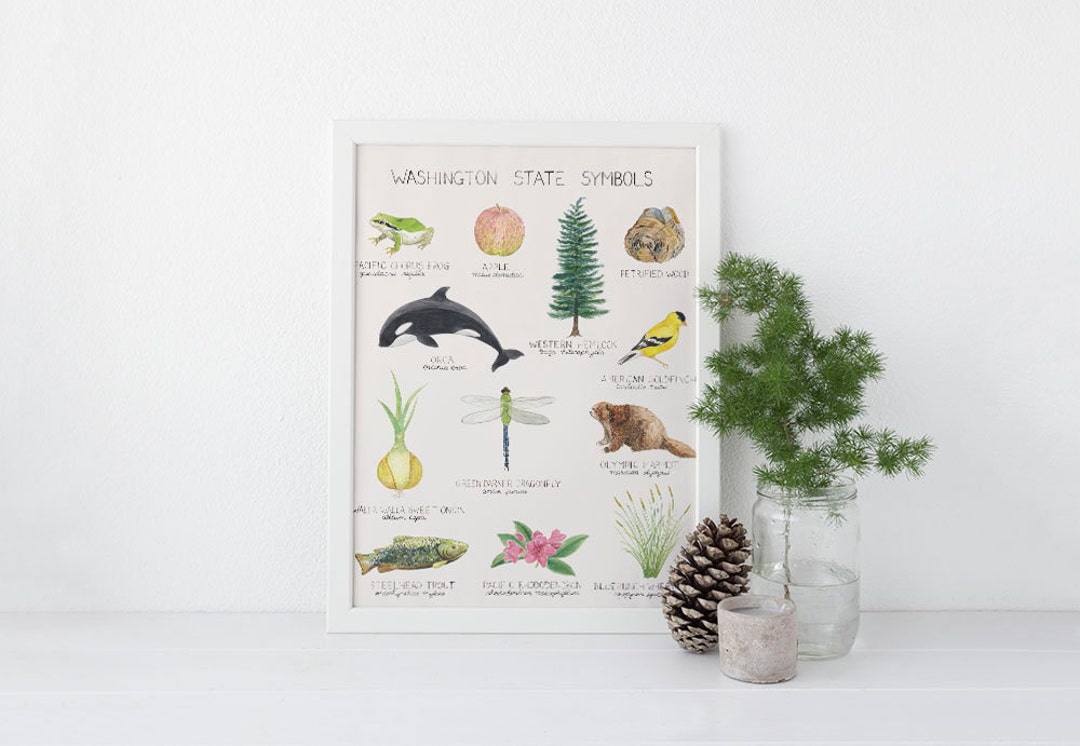 Washington State Symbols Art Print / Washington State Art / State ...