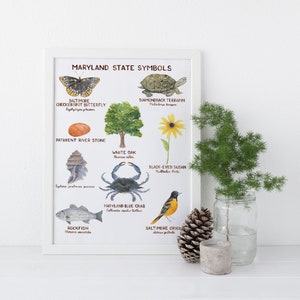 Maryland State Symbols Art Print / Maryland Art / State Symbols Art ...