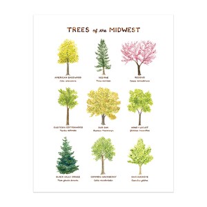 Midwest Trees Art Print / Tree Art / Midwest Art / Trees Art Print ...