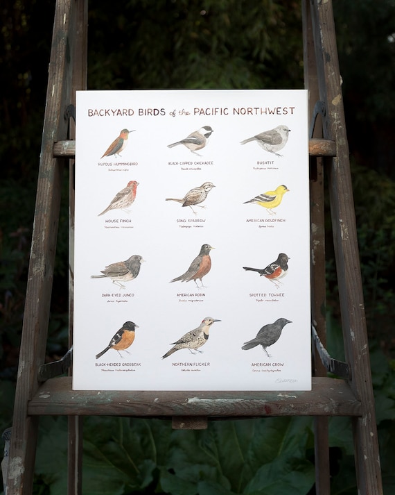 Birds Of The Pacific Northwest