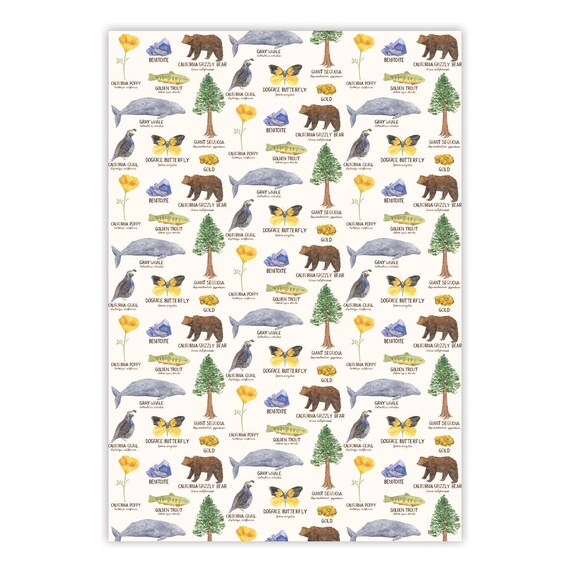 California State Symbols Illustrated Hand Drawn State Symbols Of