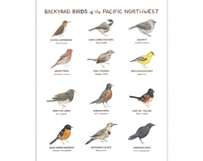 Backyard Birds of the Pacific Northwest Art Print / Washington State ...