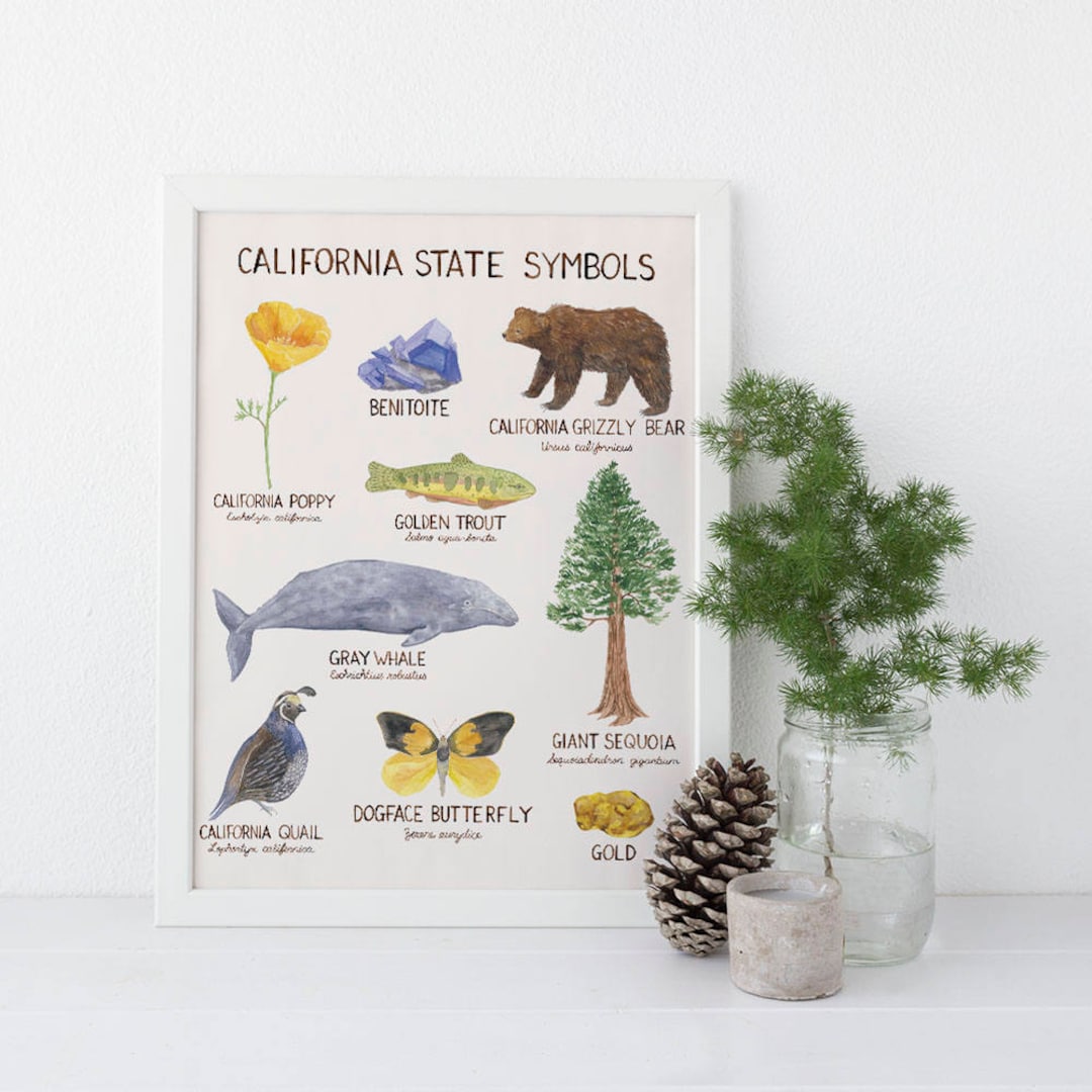 California State Symbols Art Print, California Art Print, State Symbols ...