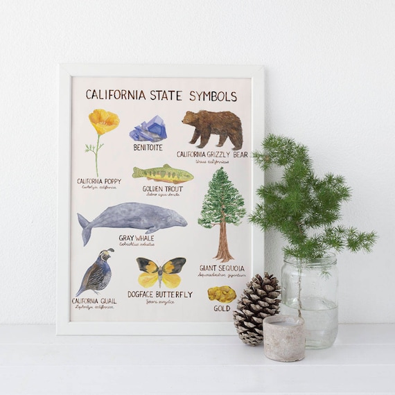 Ca State Symbols