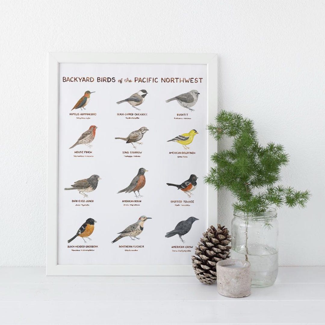 Backyard Birds of the Pacific Northwest Art Print / Washington State ...