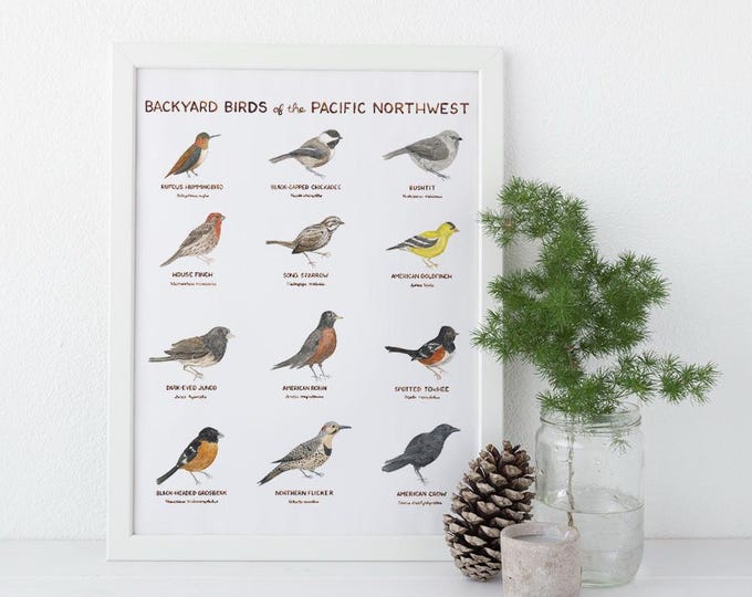 Backyard Birds of the Pacific Northwest Art Print / Washington State ...
