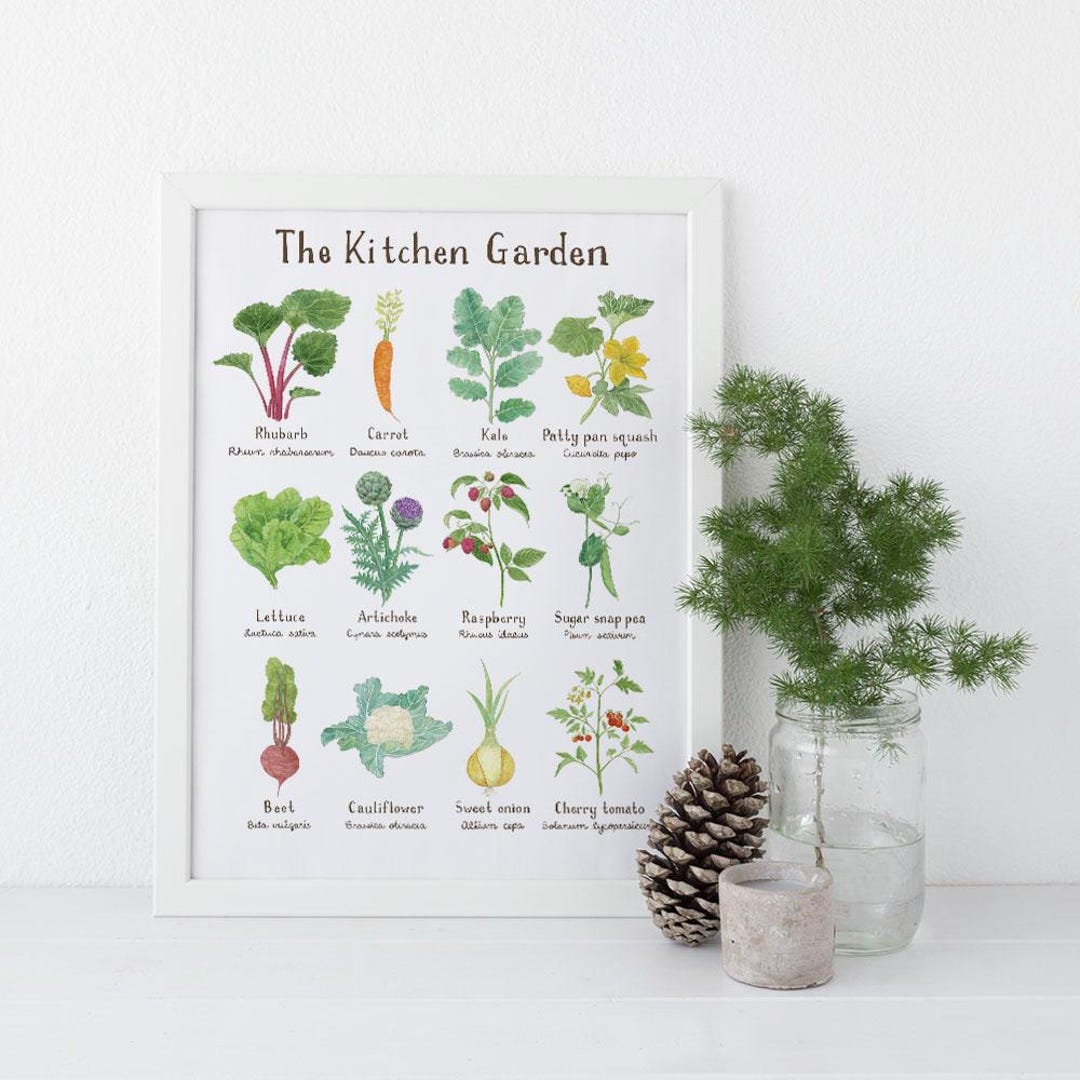 Kitchen Garden Art Print / Gardening Art / Culinary Art / Watercolor ...