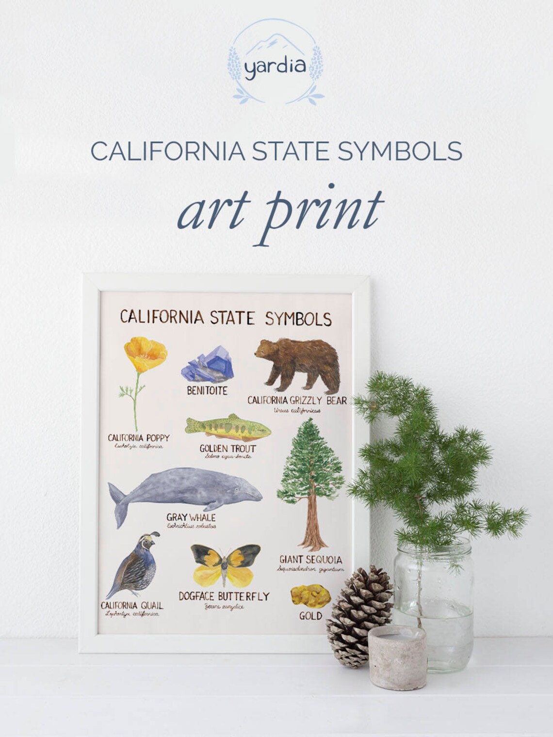 California State Symbols Art Print California Art Print | Etsy